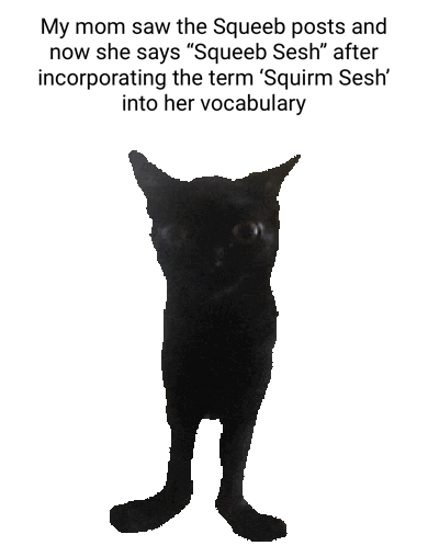 My mom saw the Squeeb posts and now she says "Squeeb Sesh" after ...