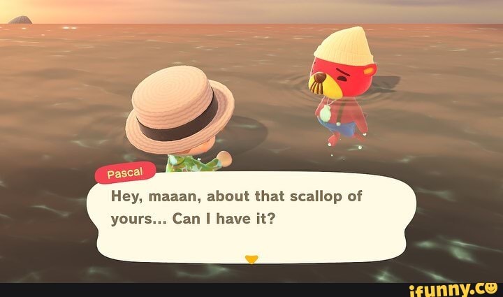 Hey, maaan, about that scallop of yours... Can have it? - iFunny