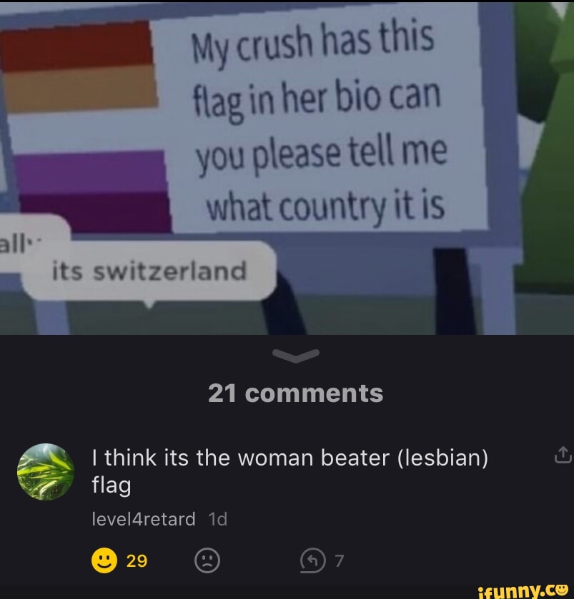 My crush has this flag in her bio can you please tell me what country ...