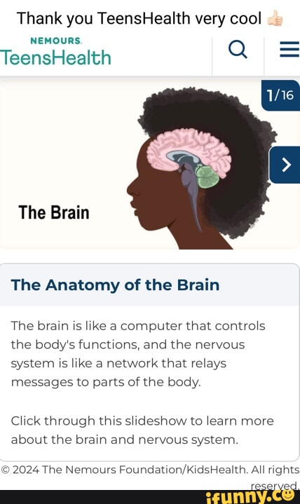 Thank you TeensHealth very cool NEMOURS. TeensHealth Q The Brain The ...
