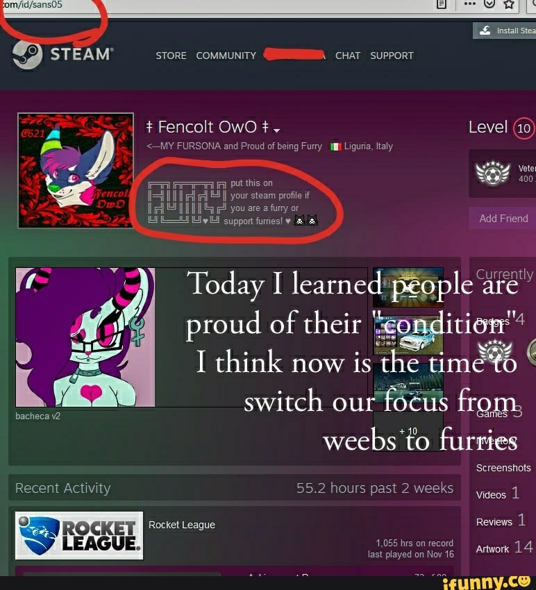 Install Stez STEAM' STORE COMMUNITY CHAT SUPPORT Fencolt OwO Level (0 ...