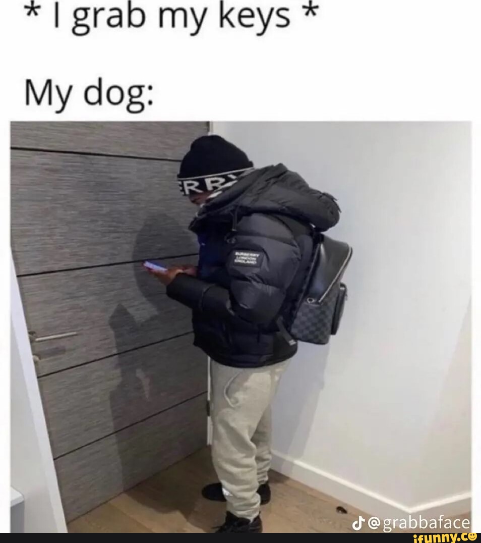 * I grab my Keys * My dog: @grabbaface - iFunny