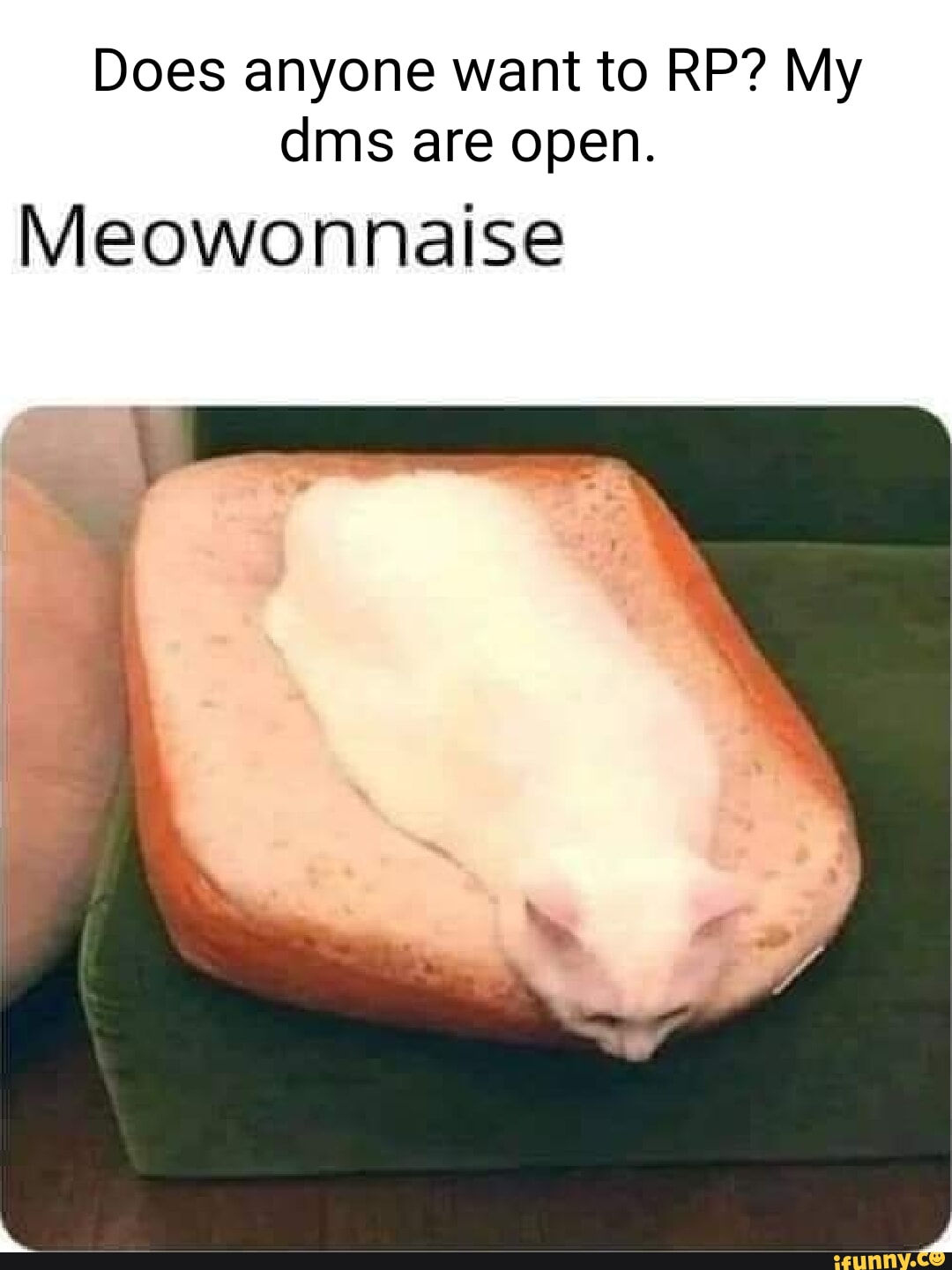 Does anyone want to RP? My dms are open. Meowonnaise - iFunny