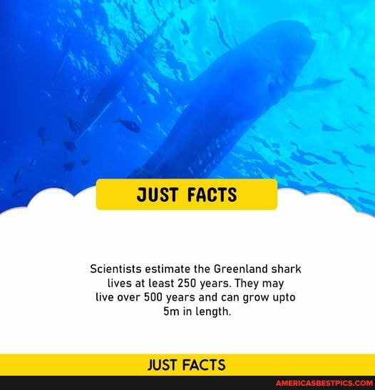 JUST FACTS Scientists estimate the Greenland shark lives at least 250 ...