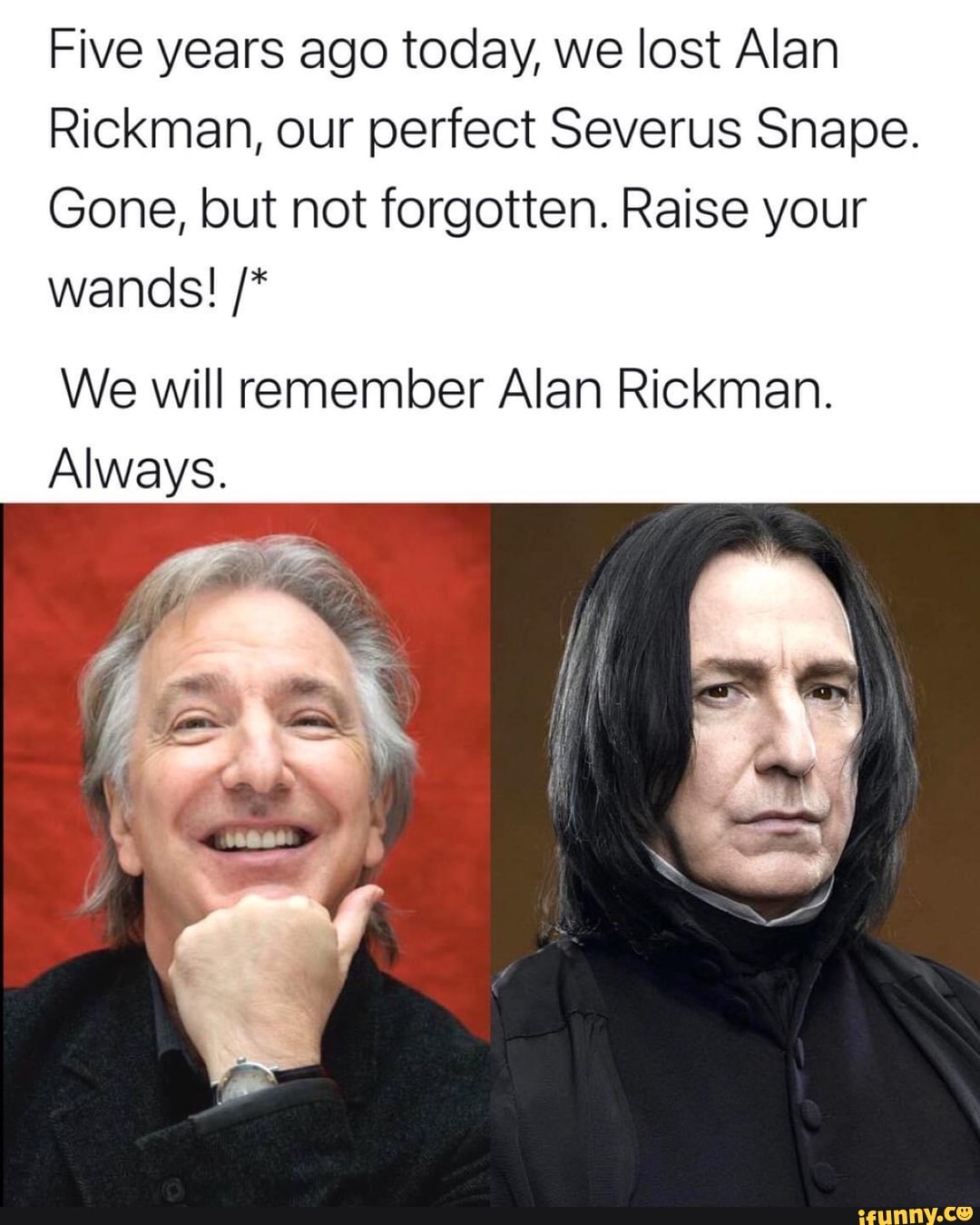 Alan Rickman memes memes. The best memes on iFunny