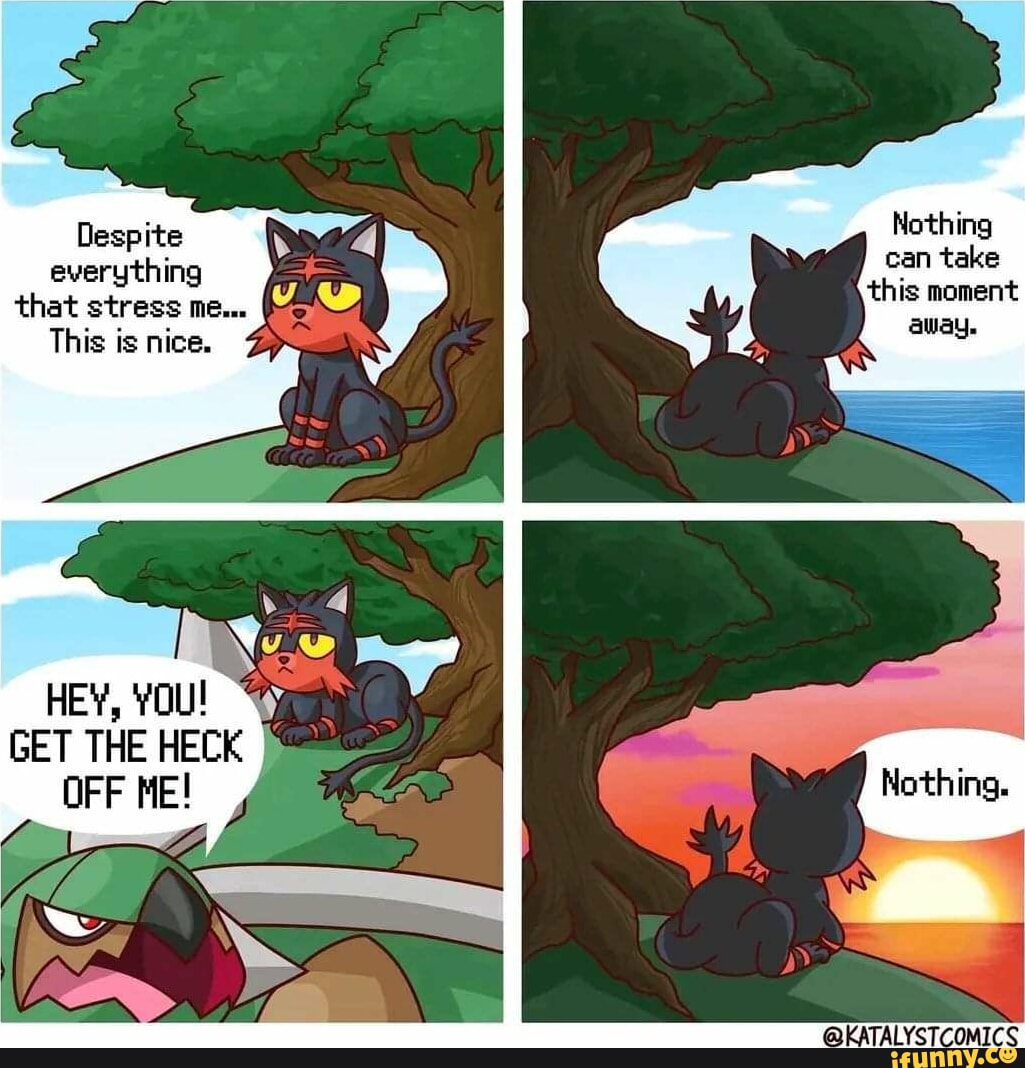 Litten memes. Best Collection of funny Litten pictures on iFunny