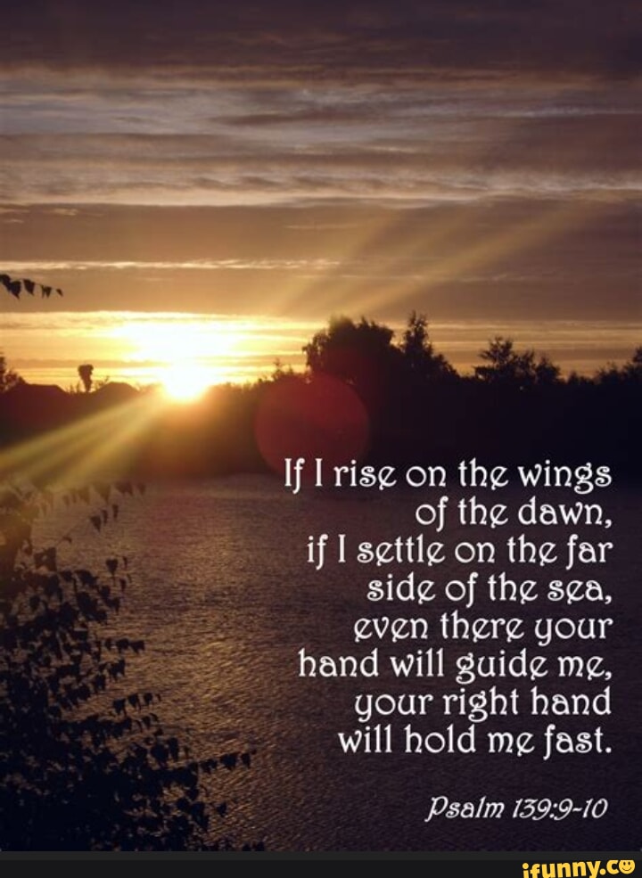 Sga memes. Best Collection of funny Sga pictures on iFunny