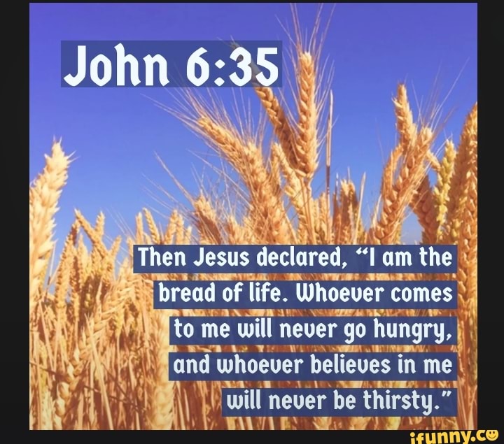 John Then Jesus declared, John Then Jesus declared,