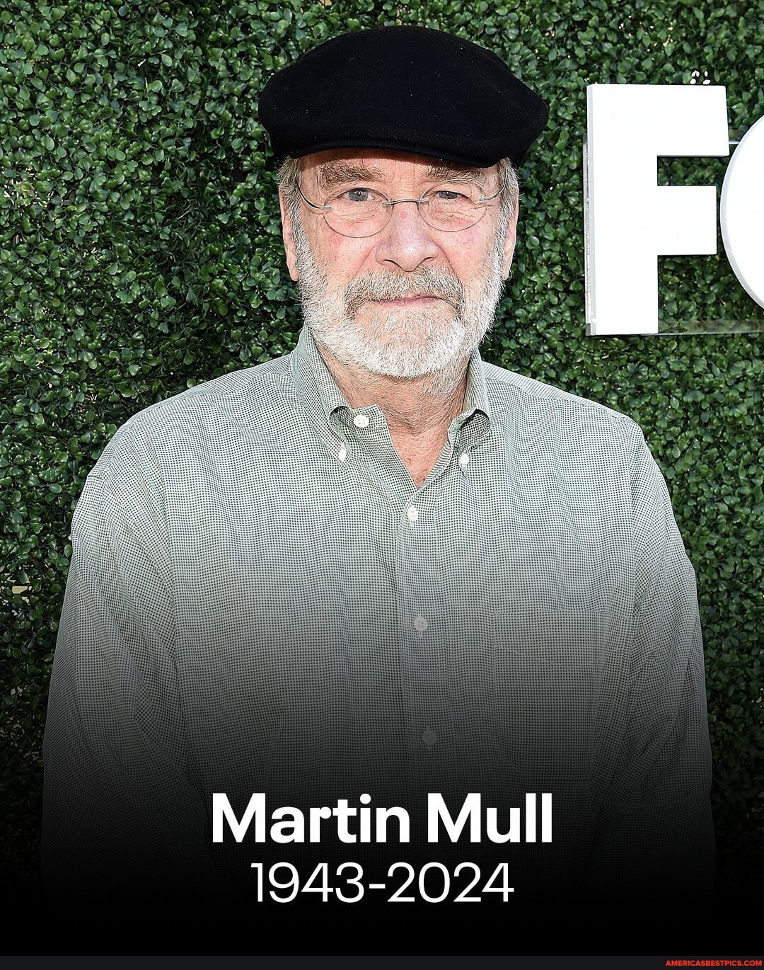 Martin Mull, known for his roles on Clue and Roseanne, has passed away ...