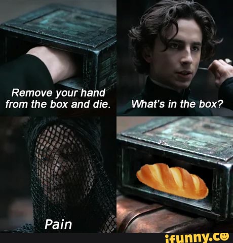 Remove your hand from the box and die. What's in the box? - iFunny