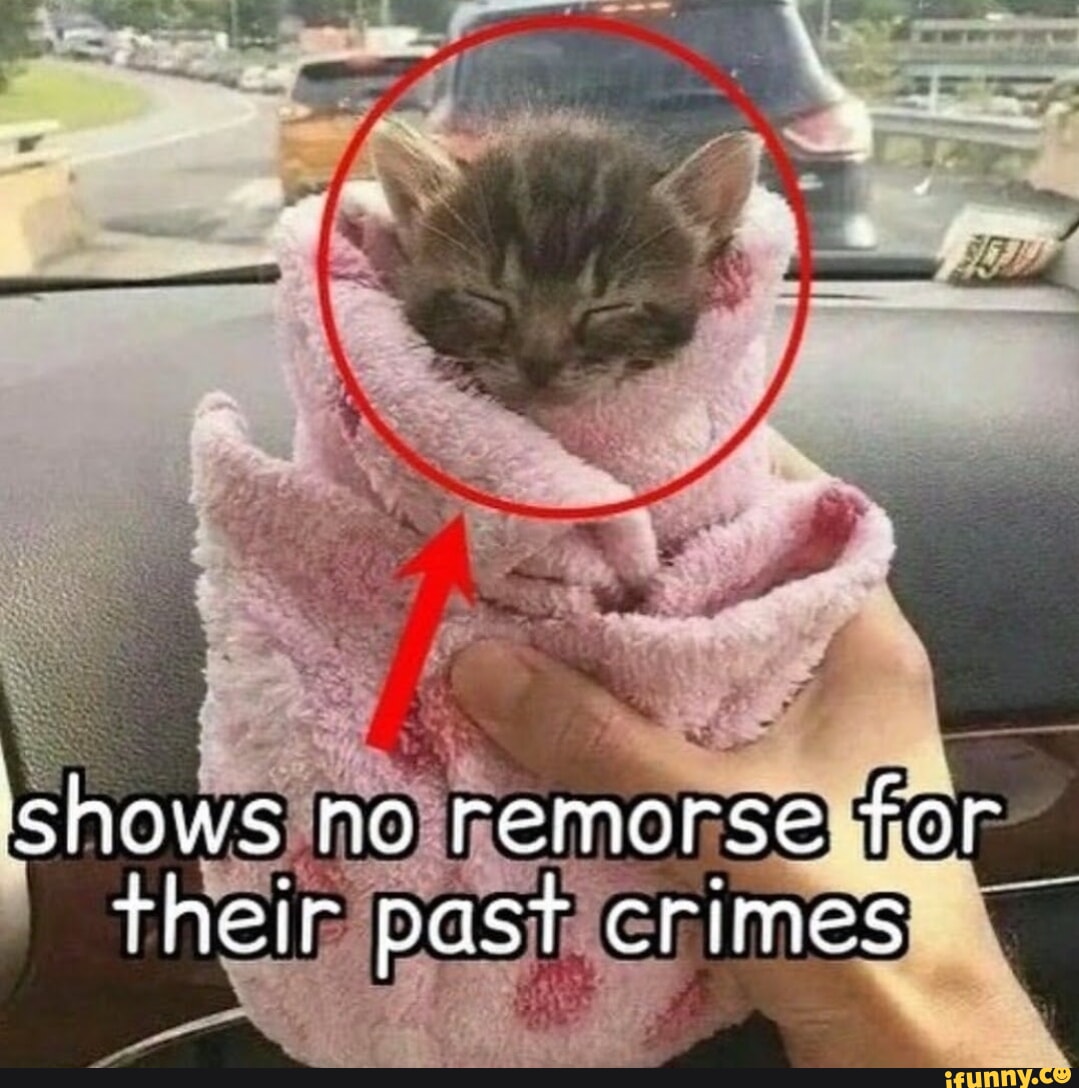 'shows no remorse for their past crimes - iFunny