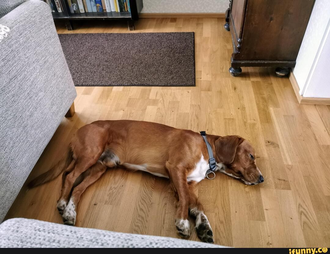 Dozing memes. Best Collection of funny Dozing pictures on iFunny