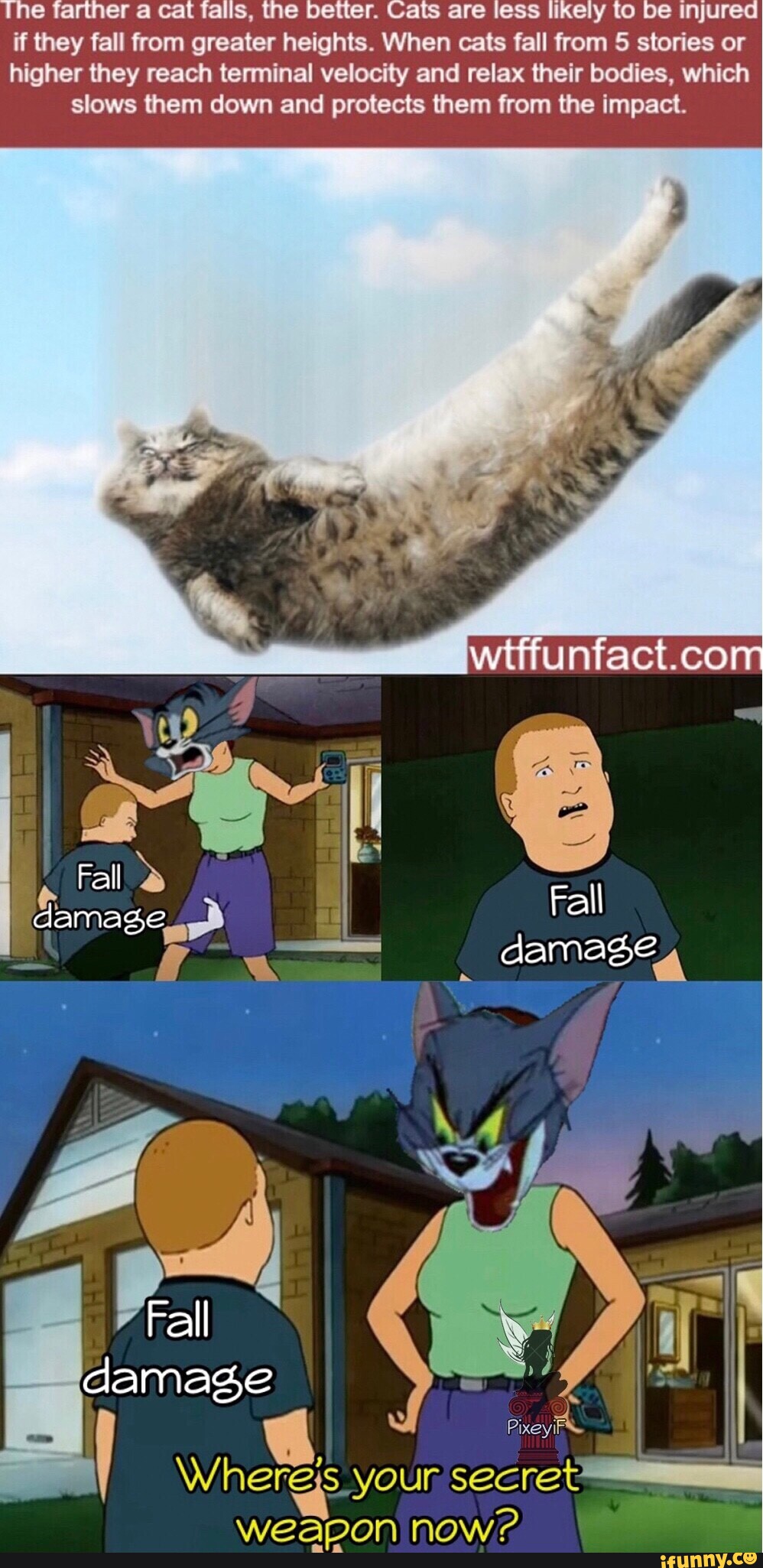 The farther a cat falls, the better. Cats are less likely to be injured ...