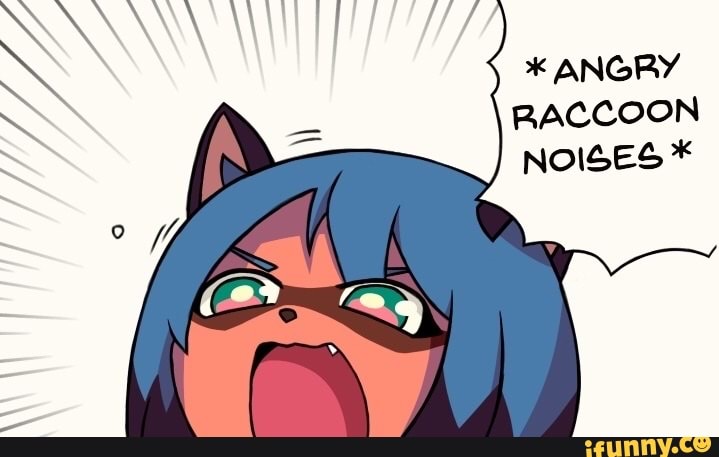 * ANGRY RACCOON NOISES * - iFunny