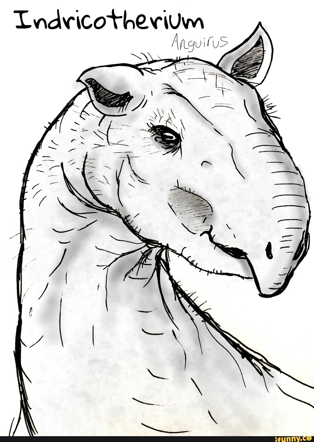 Paracer memes. Best Collection of funny Paracer pictures on iFunny