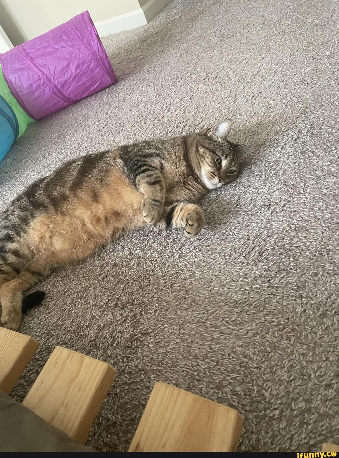 Tobacky memes. Best Collection of funny Tobacky pictures on iFunny