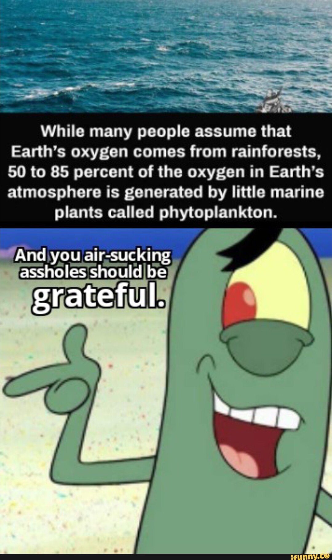 Phytoplankton memes. Best Collection of funny Phytoplankton pictures on ...