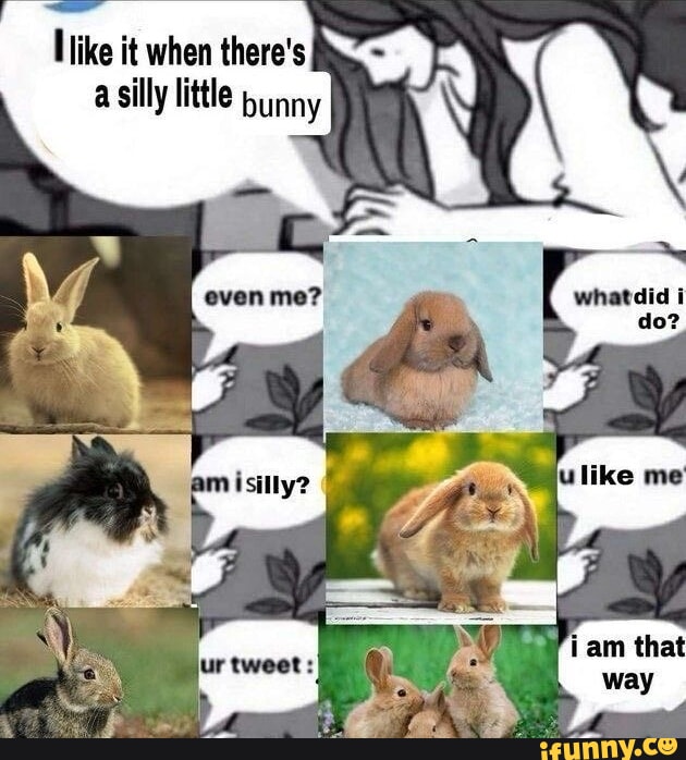 Y @YGAG Beautiful Gryfaun when did God release this one - iFunny