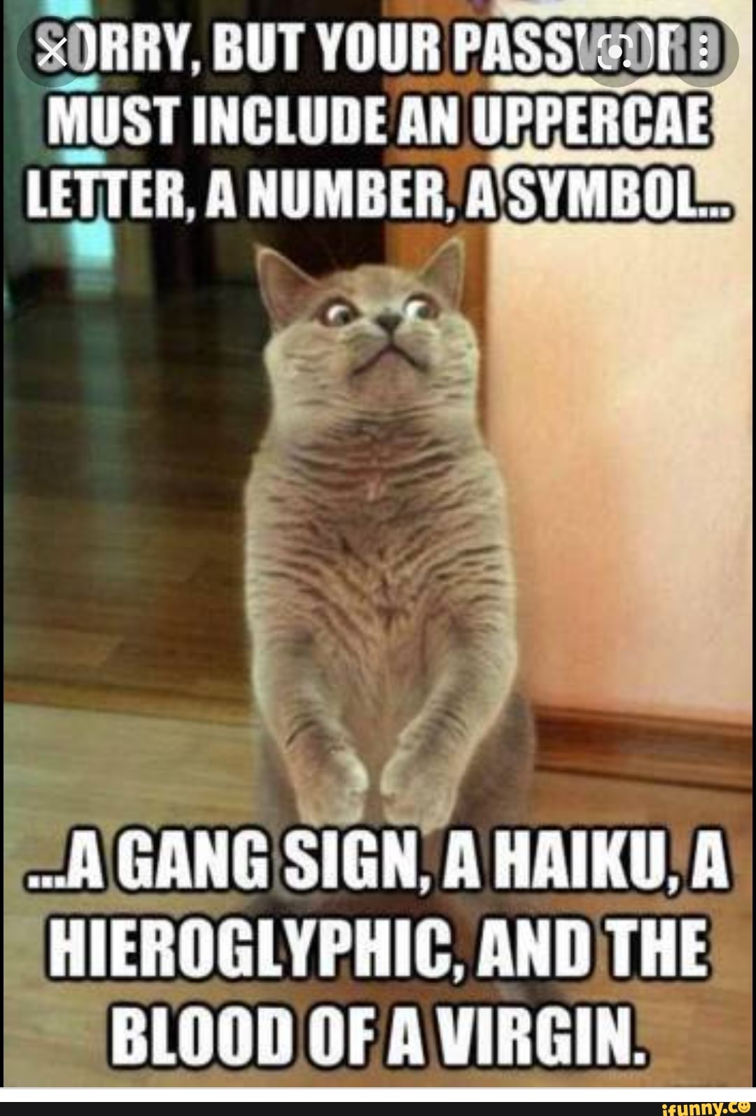Hieroglyphic memes. Best Collection of funny Hieroglyphic pictures on ...