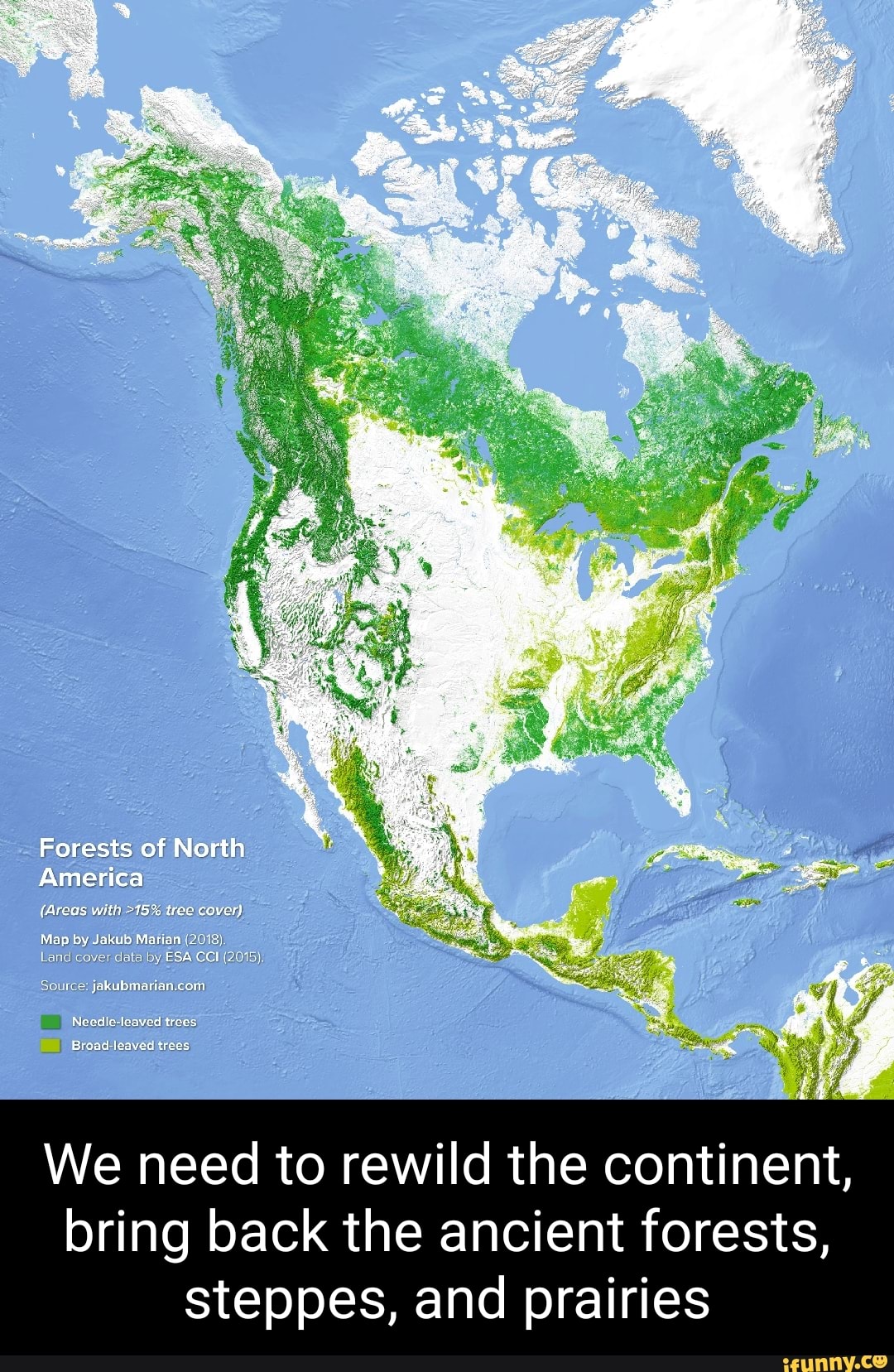 Manan memes. Best Collection of funny Manan pictures on iFunny