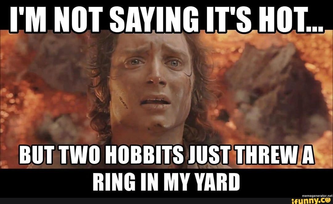 I'M NOT SAYING IT'S HOT... BUT TWO HOBBITS JUST THREW A RING IN MY YARD ...