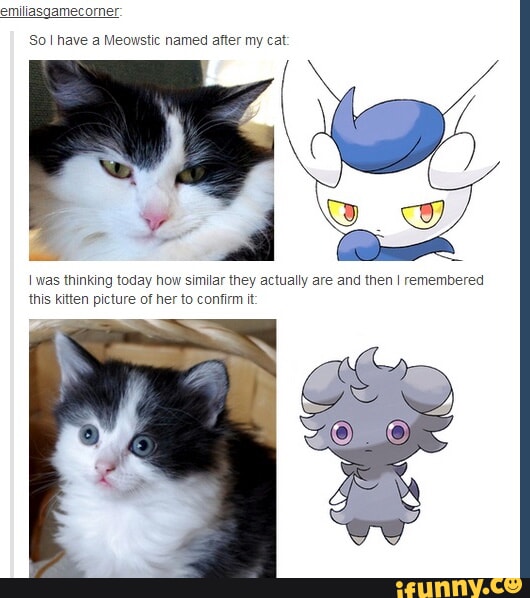 Meowstic memes. Best Collection of funny Meowstic pictures on iFunny