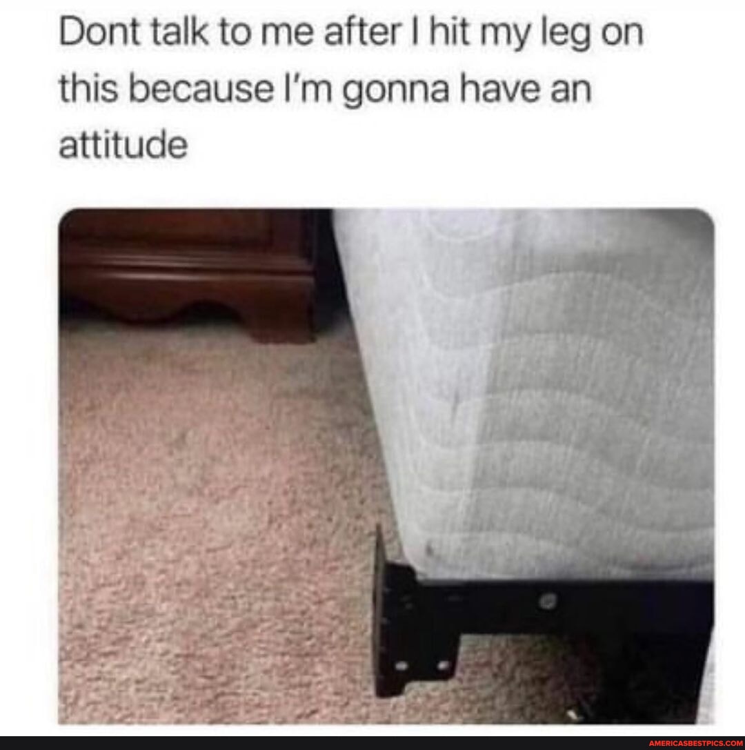 Follow @plzdontstopthememes #memes #meme #memesdaily #memes😂 #funny # ...