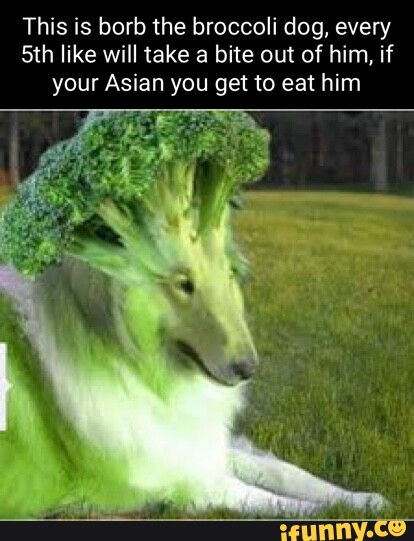 Borb memes. Best Collection of funny Borb pictures on iFunny