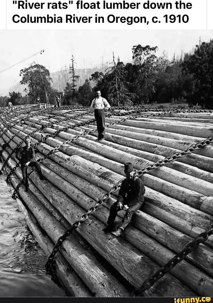 "River rats" float lumber down the Columbia River in Oregon, c. 1910 ...