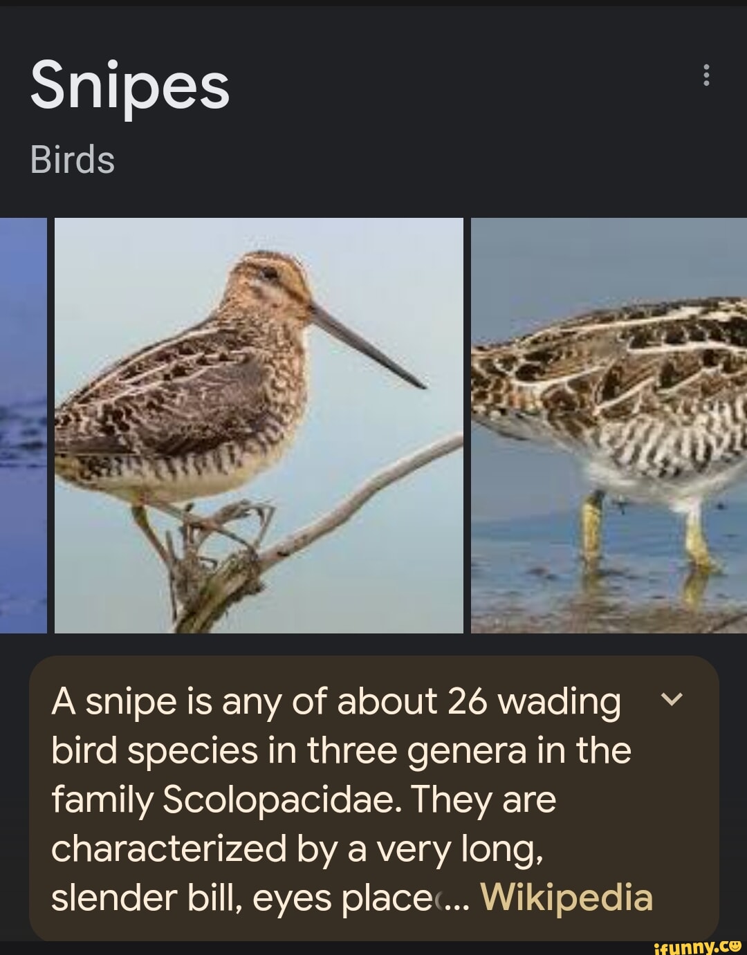 Snipehunt memes. Best Collection of funny Snipehunt pictures on iFunny