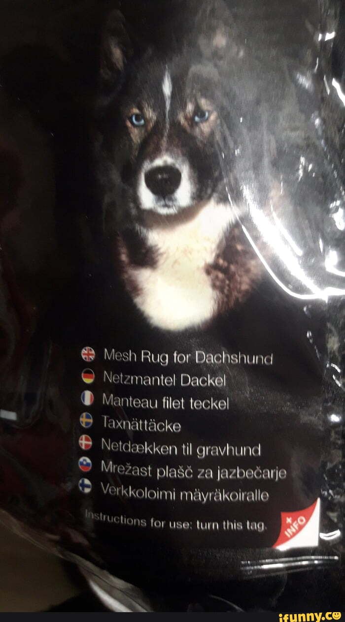 Teckel memes. Best Collection of funny Teckel pictures on iFunny