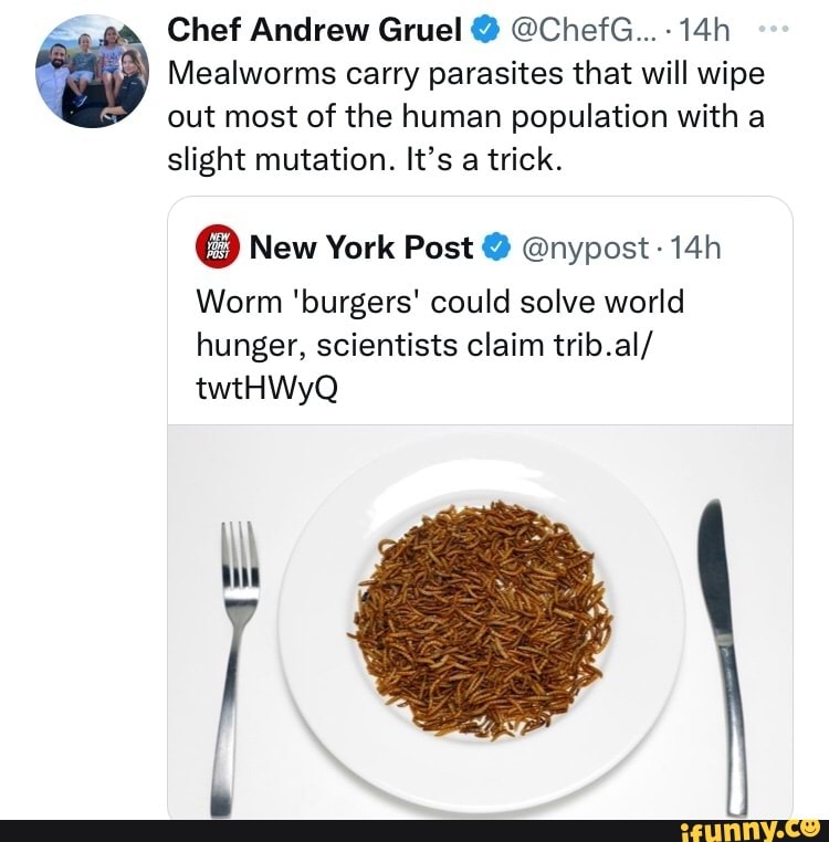 Chef Andrew Gruel @ @ChefG...- Mealworms carry parasites that will wipe ...