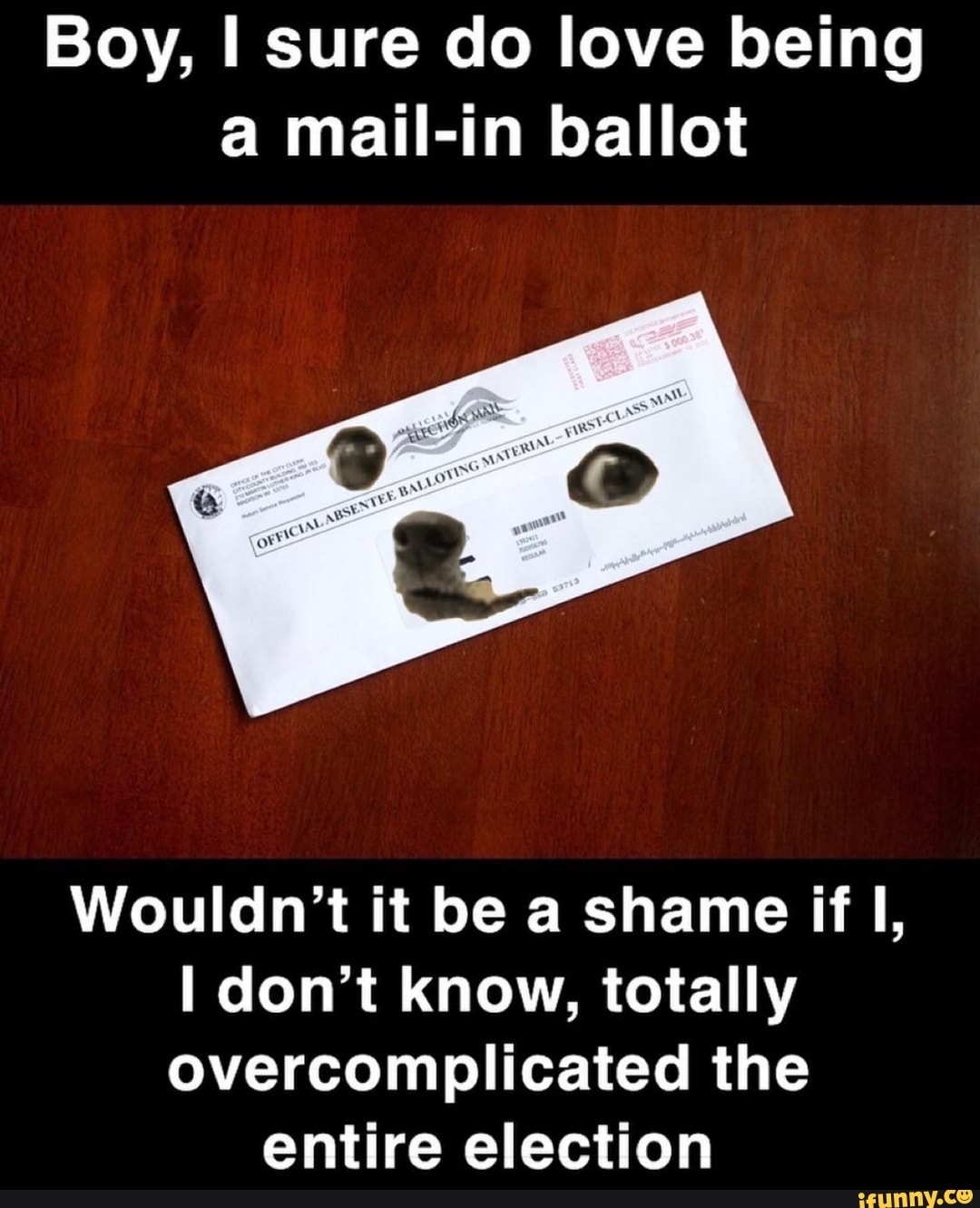 Boy, I sure do love being a mail-in ballot Wouldn't it be a shame if I ...