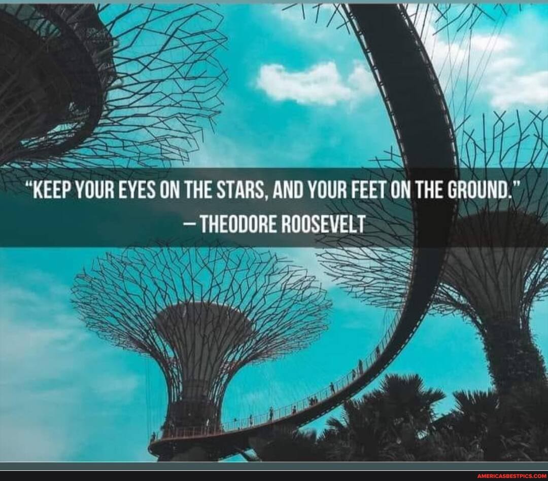 "KEEP YOUR EYES ON THE STARS, AND YOUR FEET ON THE GROUND." - THEODORE ...