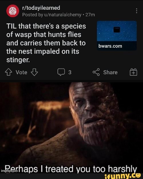 Impaled memes. Best Collection of funny Impaled pictures on iFunny