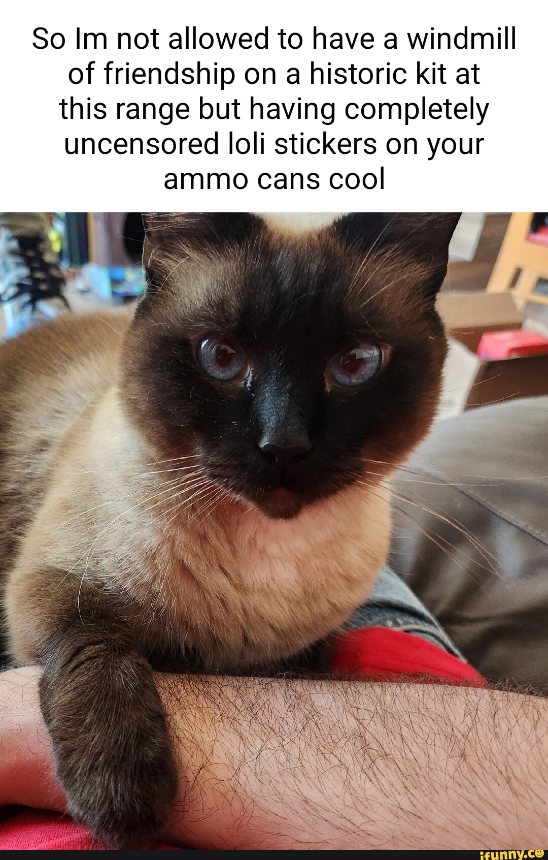 Windmill memes. Best Collection of funny Windmill pictures on iFunny