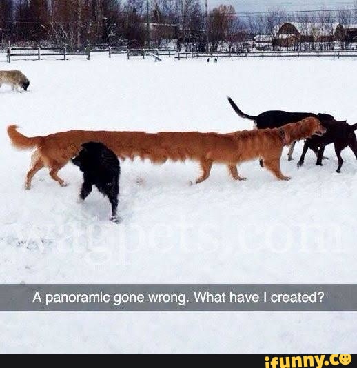 Panoramic memes. Best Collection of funny Panoramic pictures on iFunny