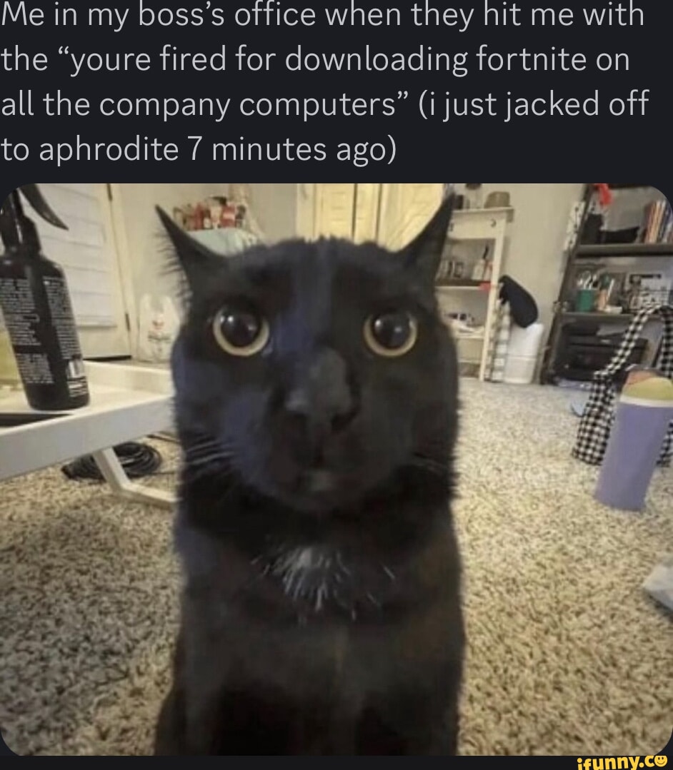 Downloading memes. Best Collection of funny Downloading pictures on iFunny