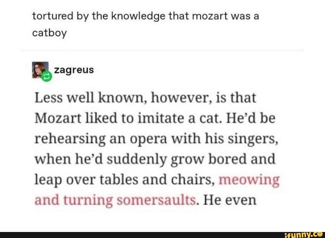 Tortured by the knowledge that mozart was a catboy Less well known ...