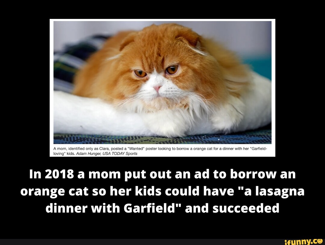 "Wanted" poster looking to borrow a orange for a dinner with her ...