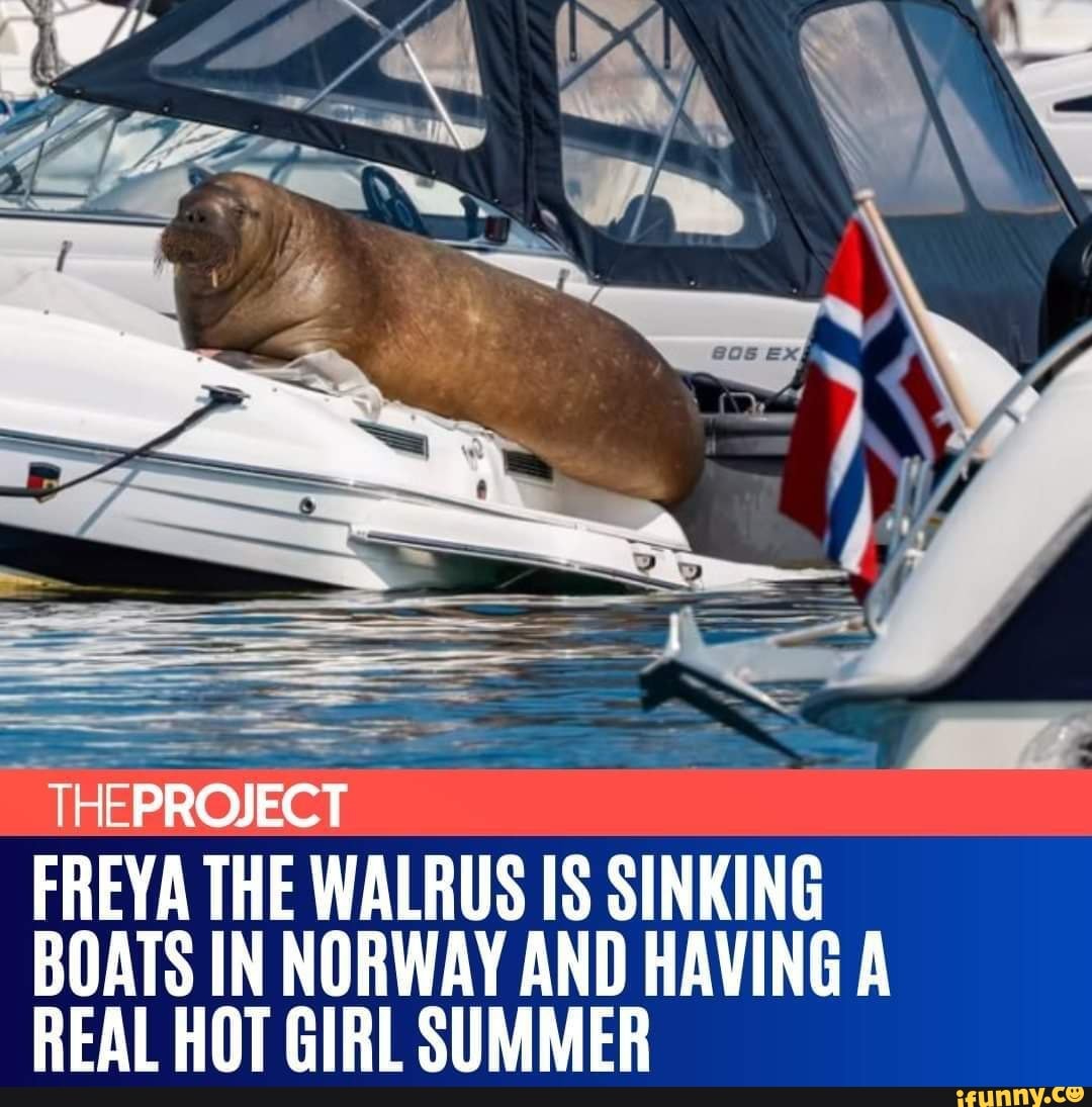School memes memes. The best memes on iFunny