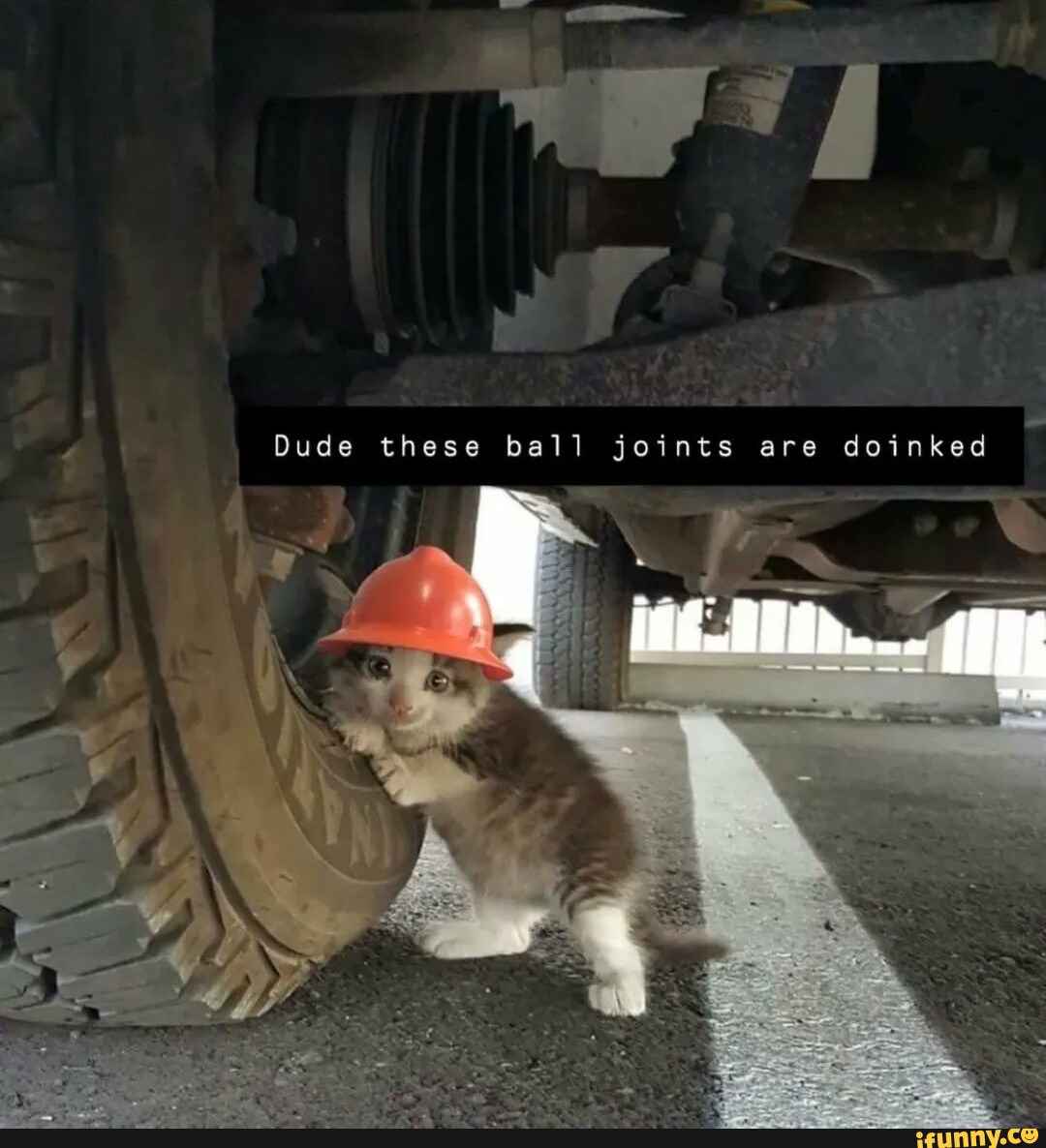 Joints memes. Best Collection of funny Joints pictures on iFunny