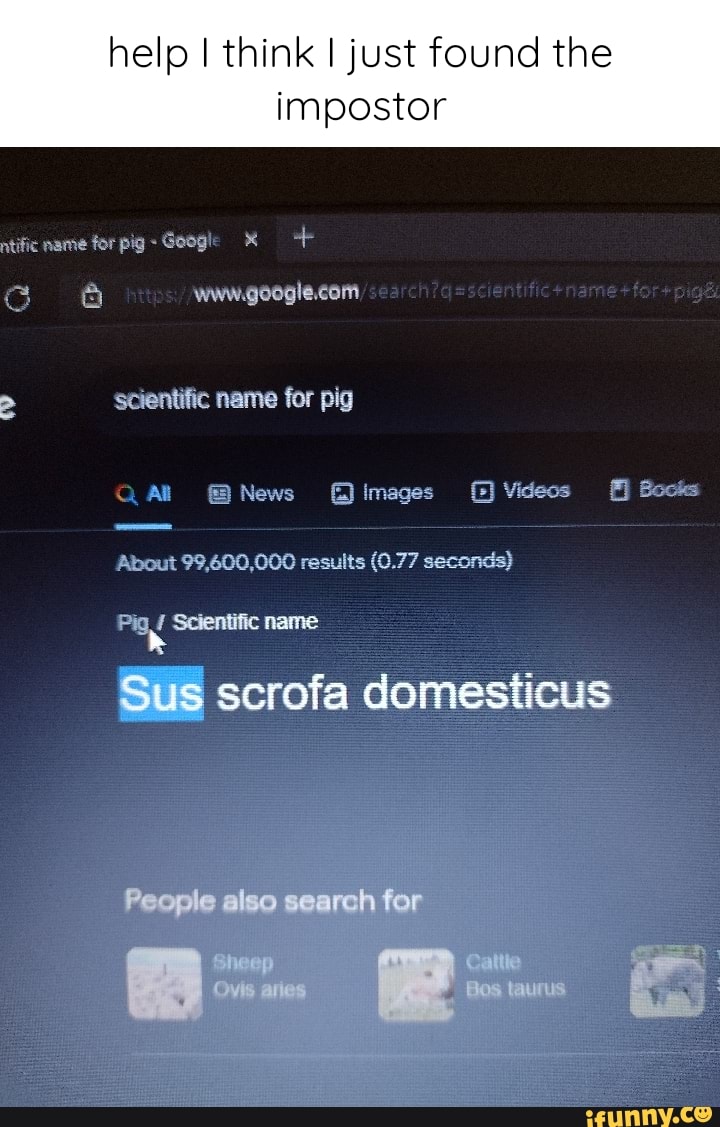 Scrofa memes. Best Collection of funny Scrofa pictures on iFunny