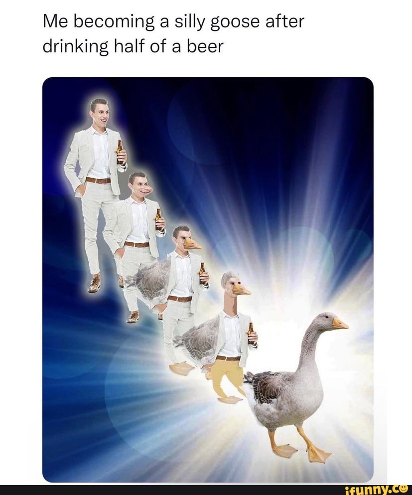 Me becoming a silly goose after drinking half of a beer - iFunny