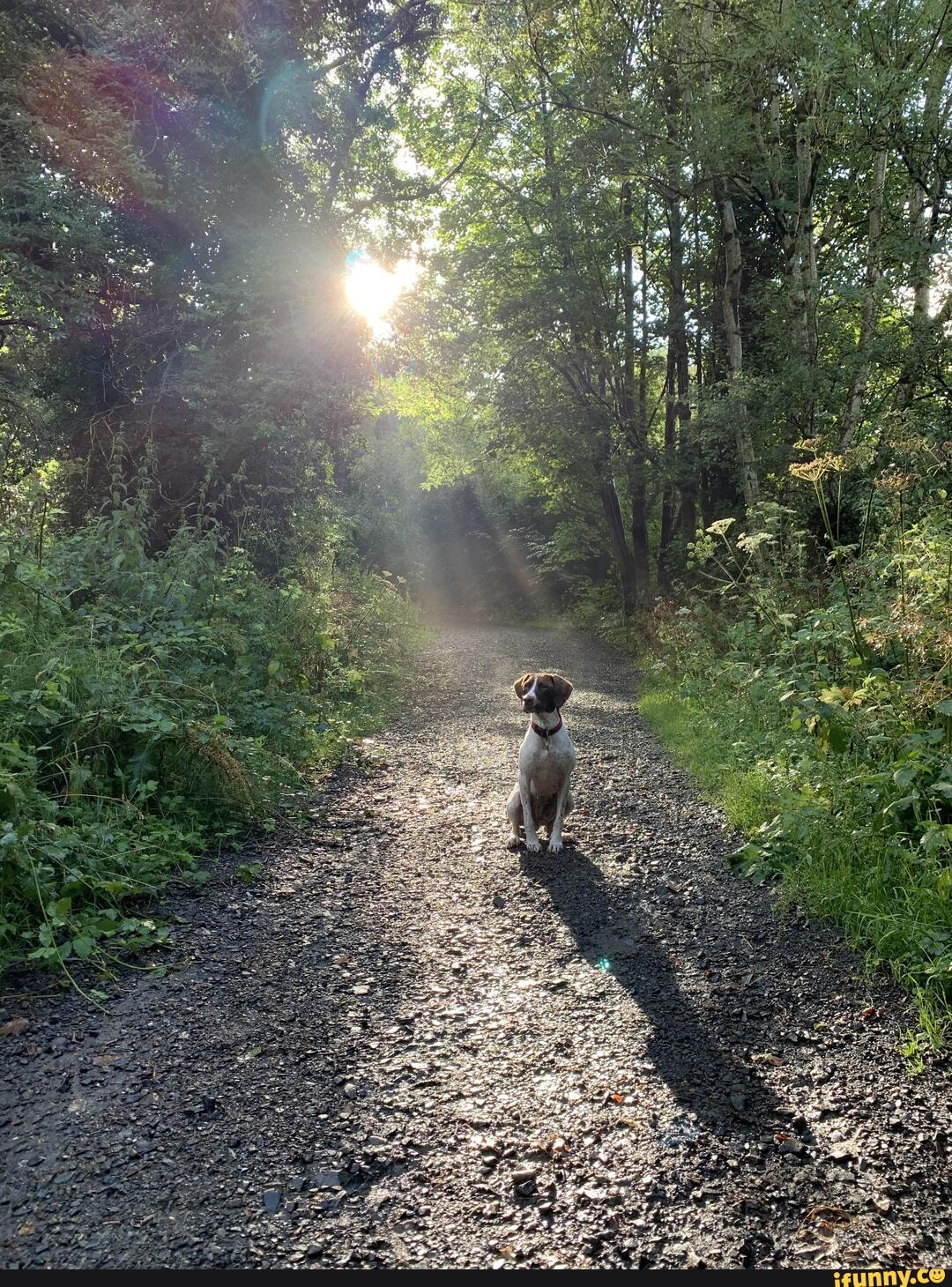 Behaviour memes. Best Collection of funny Behaviour pictures on iFunny