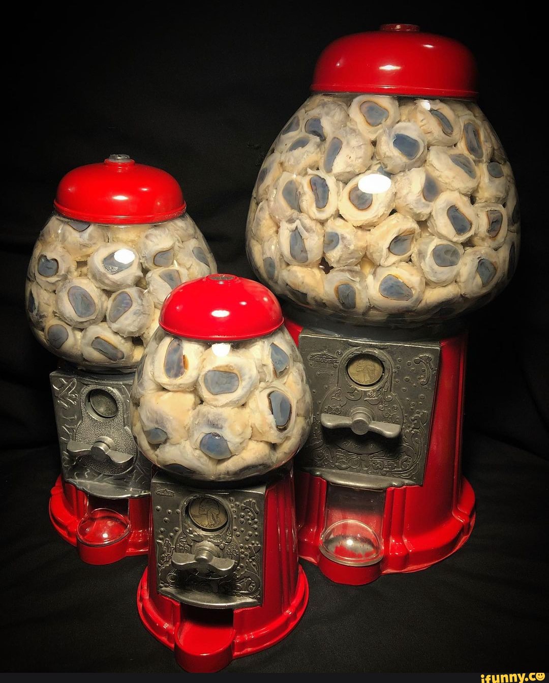 Sheep eyeball gumball machines available from Insta @forgotten_boneyard ...