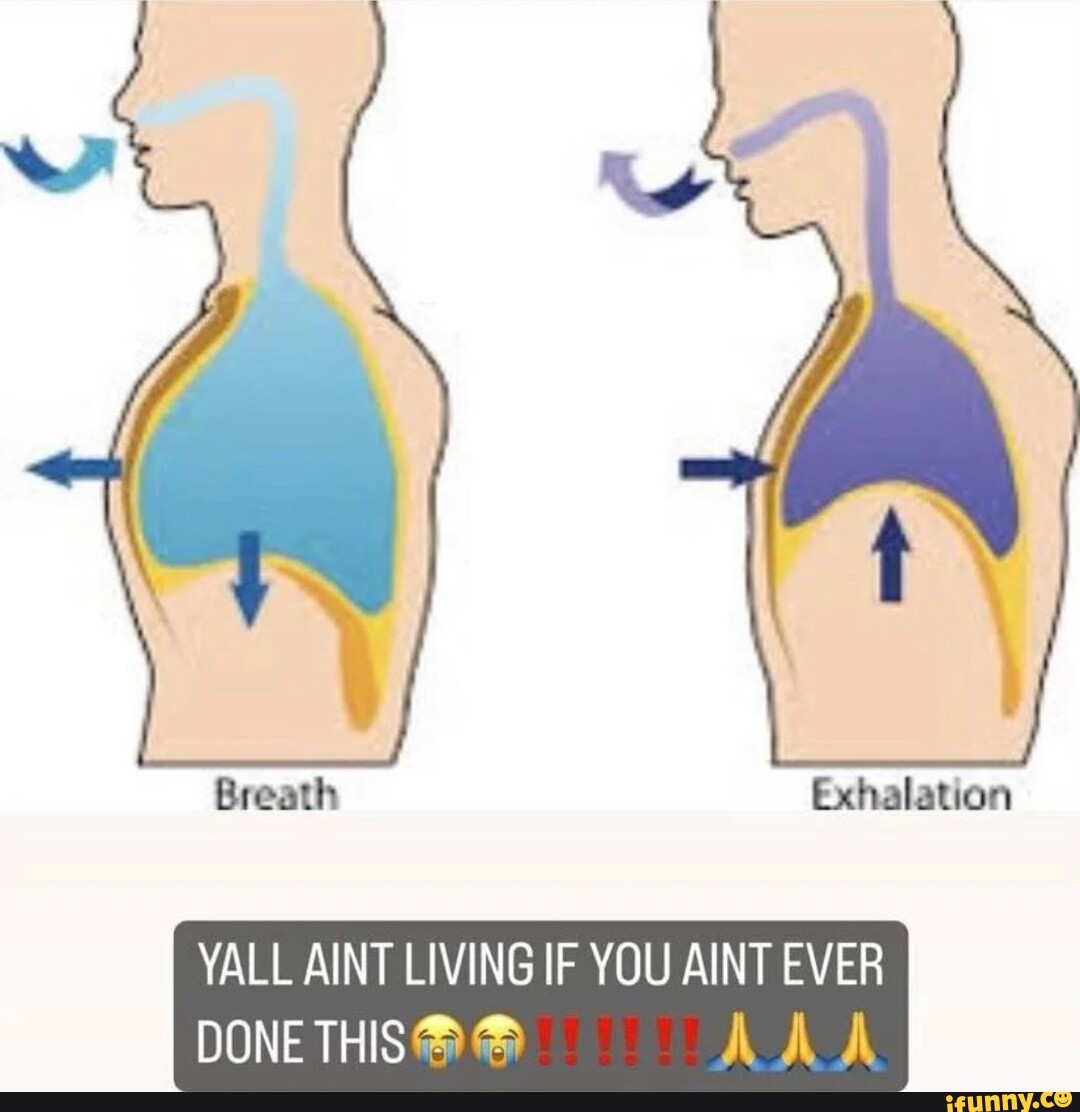 Naa memes. Best Collection of funny Naa pictures on iFunny