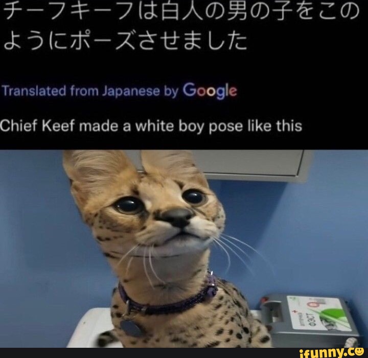 Chief memes. Best Collection of funny Chief pictures on iFunny