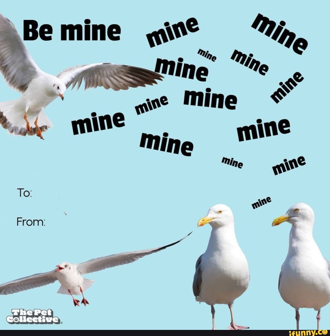 Mine ine' ine qwe Mine Mine nnne To: From: The Pct - iFunny