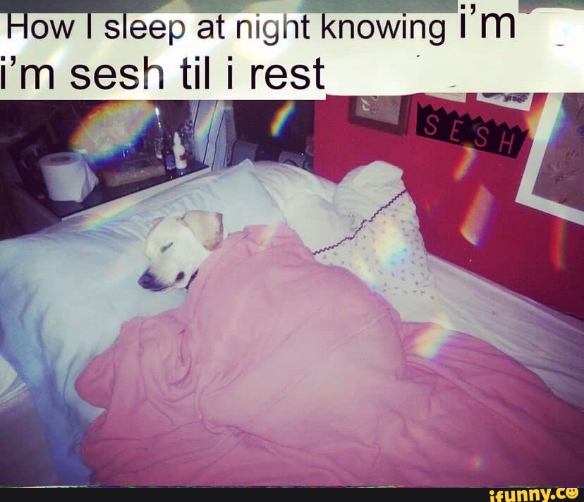 How I sleep at night knowing I'M i'm sesh til i rest - iFunny